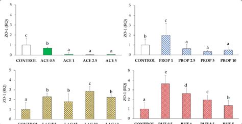 Zo 1 Gene Expression In Ipec J2 Cells Control And In Ipec J2 Upon