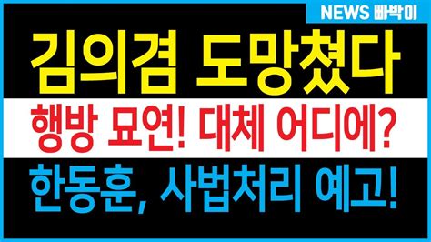 바른생활 사나이 한동훈 청담동 술자리 가짜뉴스에 격앙 법적대응 예고 법사위 국감장 김의겸이 사라졌다 도대체