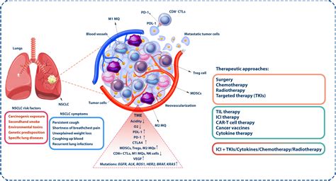 Frontiers Advancing Non Small Cell Lung Cancer Treatment The Power