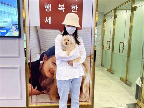 부산 2022 0229 말티푸 두콩 책임분양 말티폼키우는방법 보더콜리키우는방법 프렌치불독키우는방법 빠삐용키우는방법 파피용키우는방법 사모예드키우는방법 스피츠키우는방법