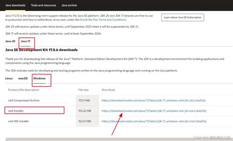Windows环境下jenkins War包下载及部署在tomcat中踩坑记录jenkinswar下载 Csdn博客