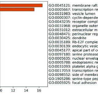 CC Analysis CC Cellular Components Download Scientific Diagram