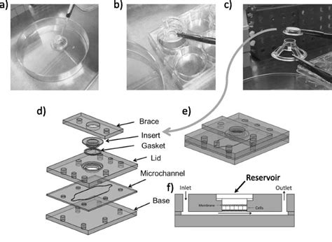 A Modular Microfluidic Bioreactor With Improved Throughput For