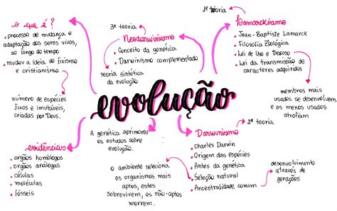 Mapa Mental Sobre Evolução Humana
