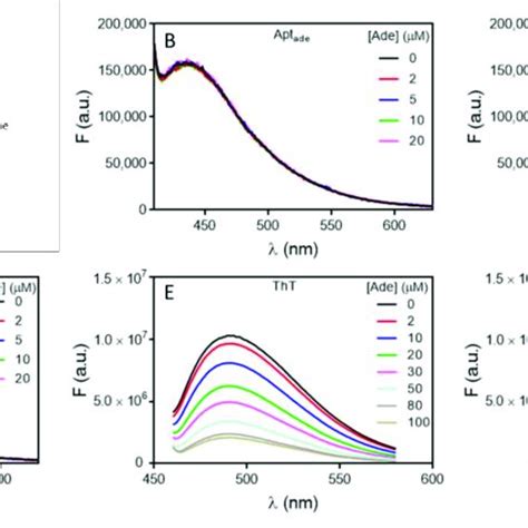 A The Structures Of The Aptamer And Adenosine The Fluorescence Download Scientific Diagram