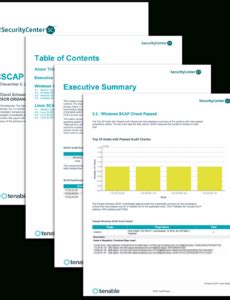 Cyber Security Audit Report Template