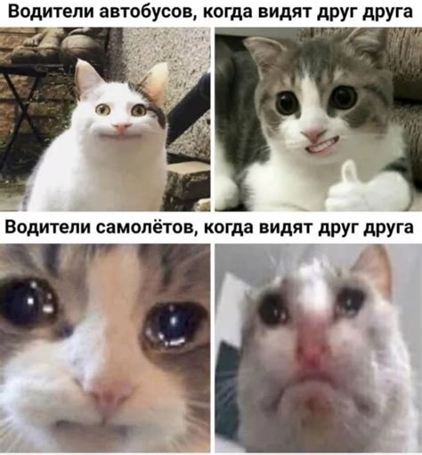 ﻿Водители автобусов когда видят друг друга Водители самолётов когда