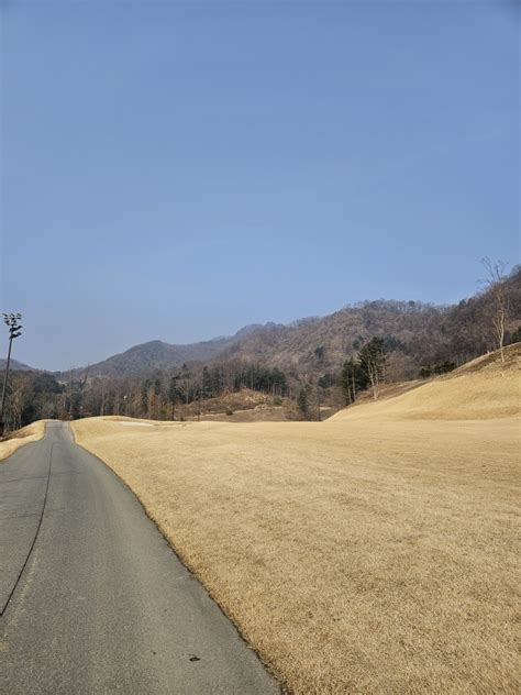 베뉴지cc 지코스 힐코스 라운드 후기 골프장 난이도