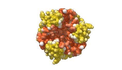 Human Insulin Hexamer Biologic Models