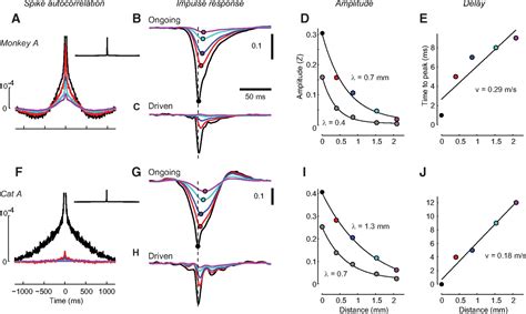 Robustness Of Traveling Waves In Ongoing Activity Of Visual Cortex