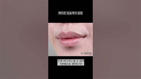 메마른 입술케어 꿀템 보습 발색을 한방에~ 립밤추천😍 Youtube