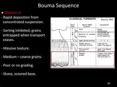 Ppt Facies Turbidites Powerpoint Presentation Free Download Id