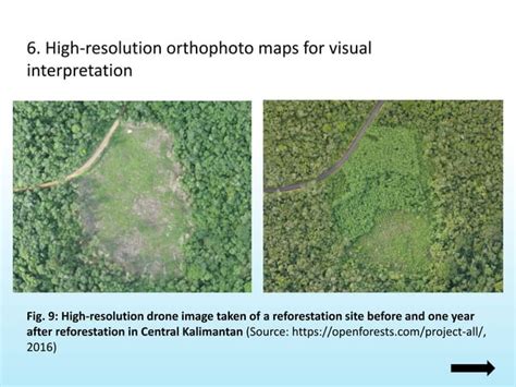 Forest Monitoring Through Remote Sensing Pptx Geography Science