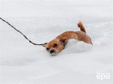 В одній частині України сніг і ожеледиця в іншій без опадів Синоптики спрогнозували погоду