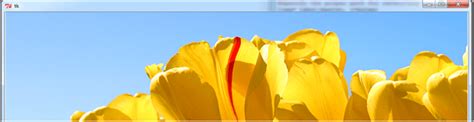 Tkinter Background Image How To Set A Background Image In Tkinter