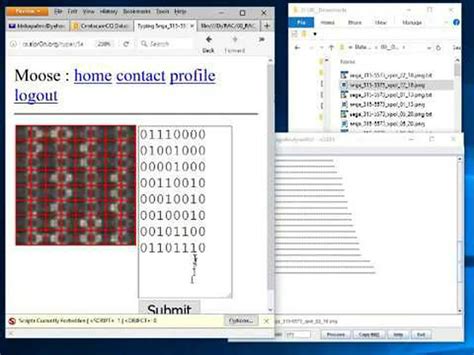 Rom Decap Image Analyser V0 11