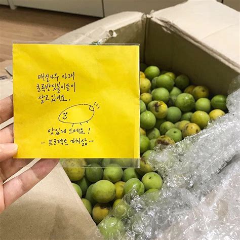 프로젝트 가치삶 저는 농사의 ㄴ도 모르고 텃밭의 ㅌ은 알아가는 중인 애송이 입니다 그치만 저희집에