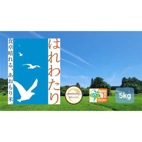 新米 はれわたり 特別栽培米 令和6年度産 農家直送 特a 5kg Konricefarm Hw5 Kon Rice Farm