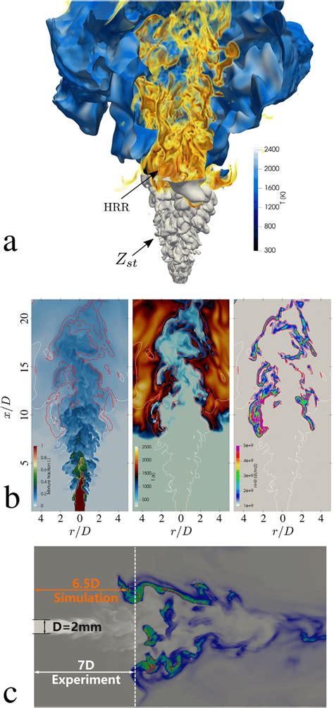 Three Dimensional Turbulent Lifted Flame Simulation Using Dnn Chemistry
