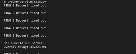 GitHub Parushapradhan Udp Client Echo Service