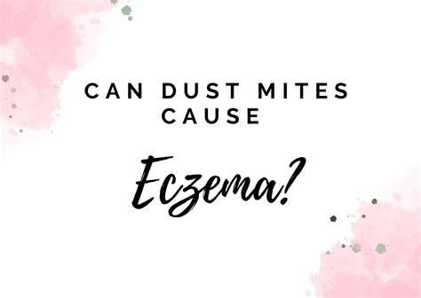 Can Dust Mites Cause Eczema