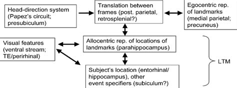 Schematic View Of The Functional Architecture Of The Encoding And