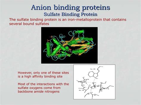 Ppt Function Of Metal Ions In Proteins Powerpoint Presentation Free