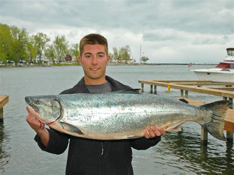 Helpful Tips For Landlocked Chinook Salmon Fishing