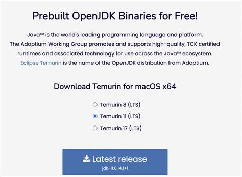 vscodeでjavaの開発環境を構築する mac向け 初心者 qiita