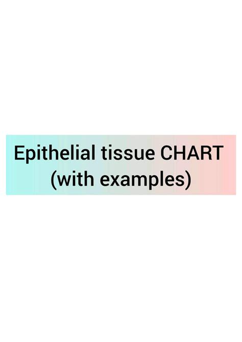 Solution Biology Epithelial Tissue Chart With Examples Studypool