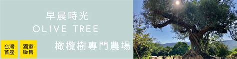 Olive Tree Grand Bay Garden