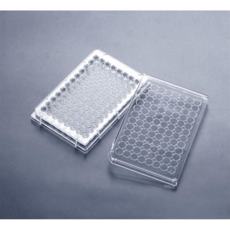 Cell Scientific Polystyrene Ti Tis1032 Cell Scientific Sls
