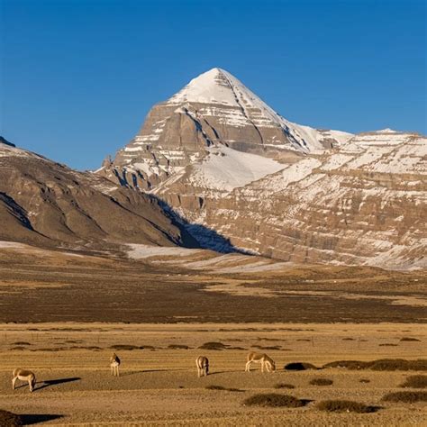 这7个角度的冈仁波齐 你都见过几个 花瓣网