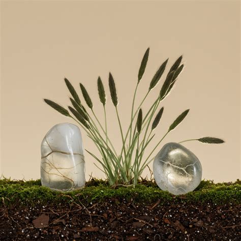 Cue Utilization Theory → Term