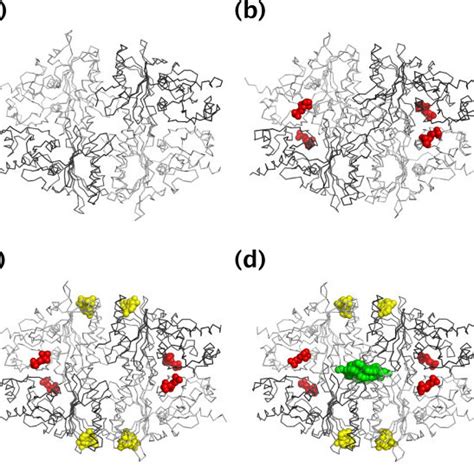 Example Of A Protein Structure Pair Between Ligand Bound And Unbound Download Scientific
