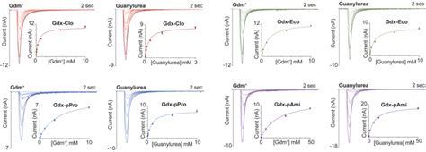 Maximal Current Amplitudes As A Function Of Gdm Or Guanylurea