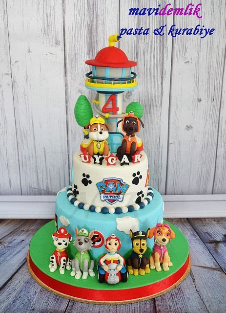 Paw Patrol Resimli Pasta