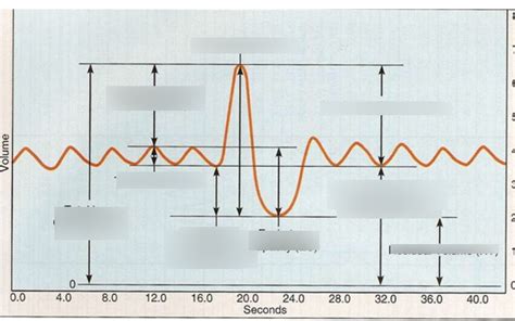 Lab 4 Spirogram Diagram Quizlet