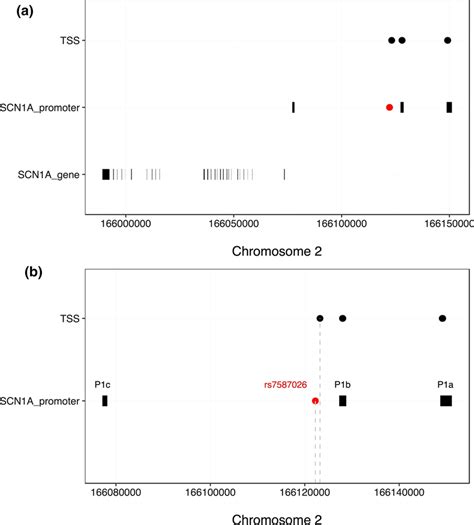 A Transcription Start Sites Tsss Identified By The Fantom5 Project