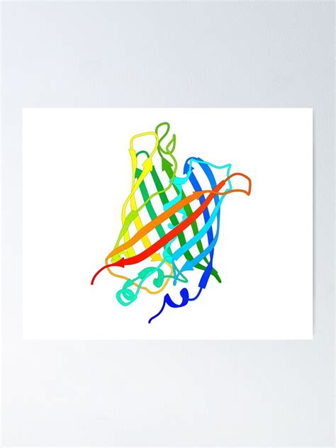 Green Fluorescent Protein Gfp Poster For Sale By 3d Biology Redbubble