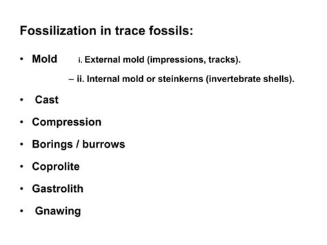 Fossils And Fossilization Ppt