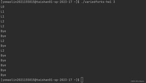 详解linux的系统调用fork函数linuxfork函数 Csdn博客