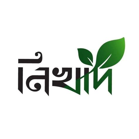 Nikhad কস্তুরী হলুদ কী এবং এর গুণাগুণ কী কী দক্ষিণ এশিয়ার আশেপাশের