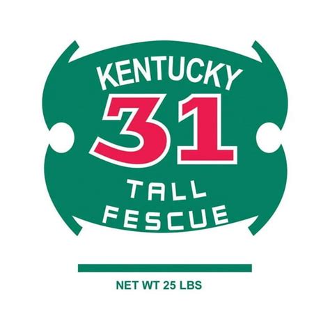 Kentucky 31 Tall Fescue Grass Seed