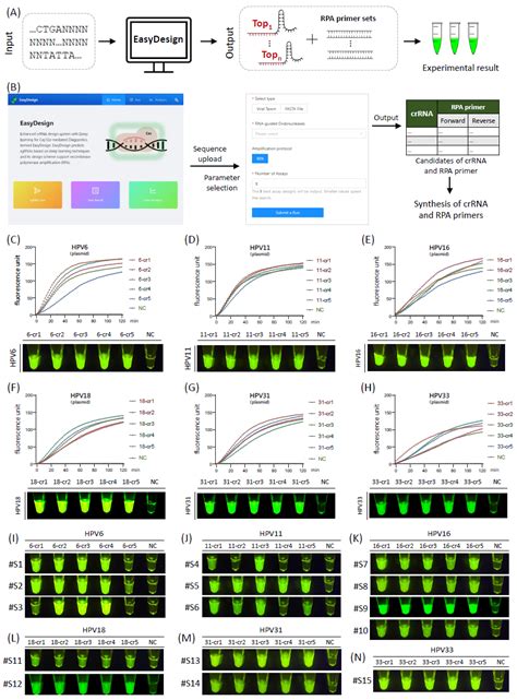 Imeta 之江实验室 农科院基因组所联合开发crispr Cas12a检测体系crrna智能设计平台 Csdn博客