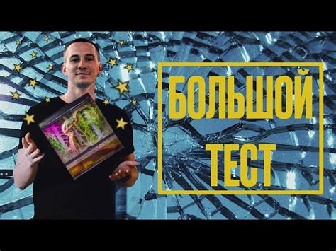 Террариум для паука-птицееда Pterinochilus murinus - Экран | Видео