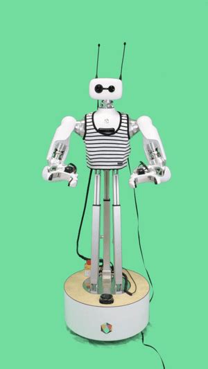 Pollen Robotics Pollen Robotics