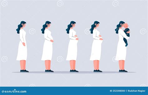 Stages Of Pregnancy Stage Trimester Pregnant Woman Infographic Growth