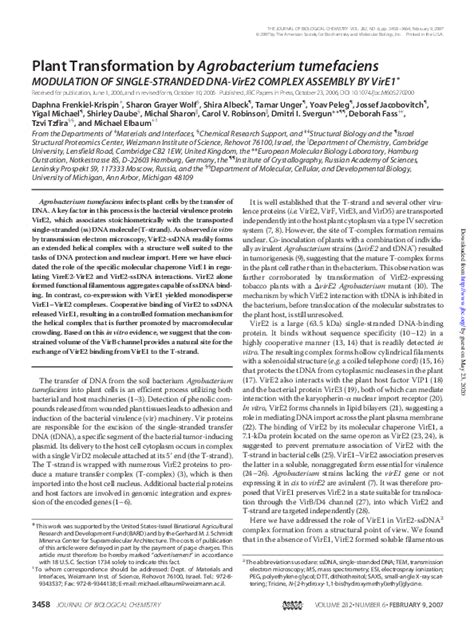 Pdf Plant Transformation By Agrobacterium Tumefaciens