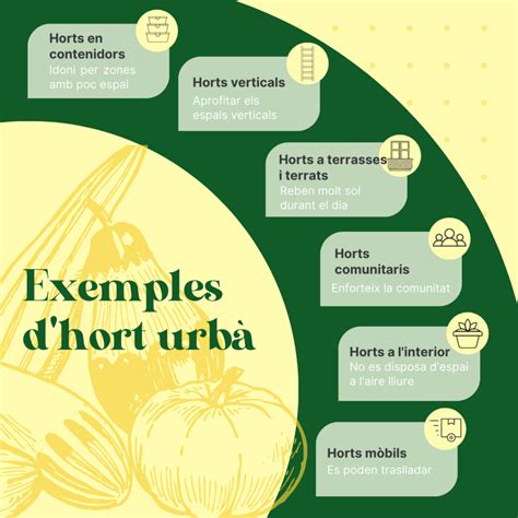 Crea Tu Propio Huerto Urbano